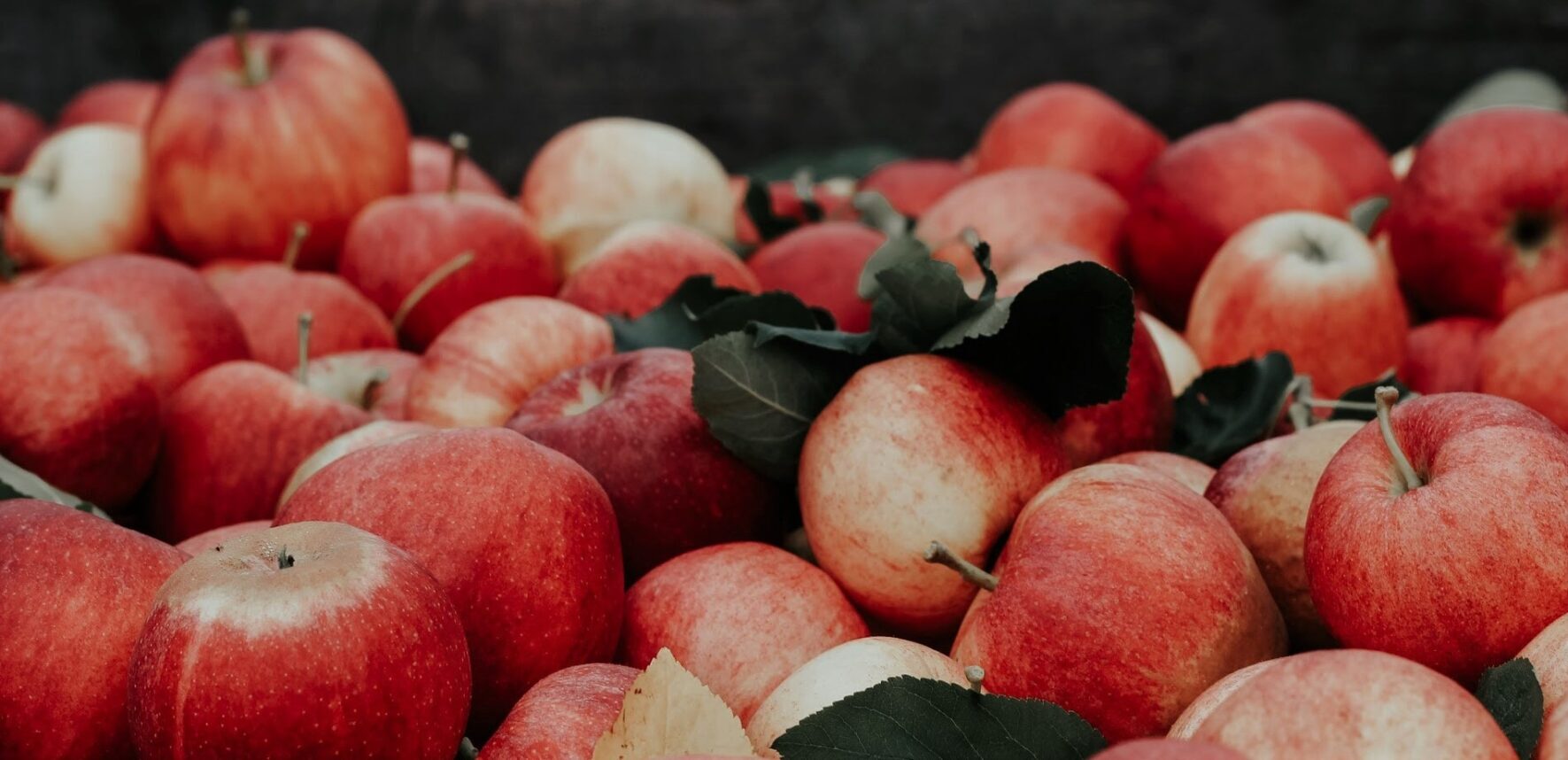 Food Bank - NeighborImpact